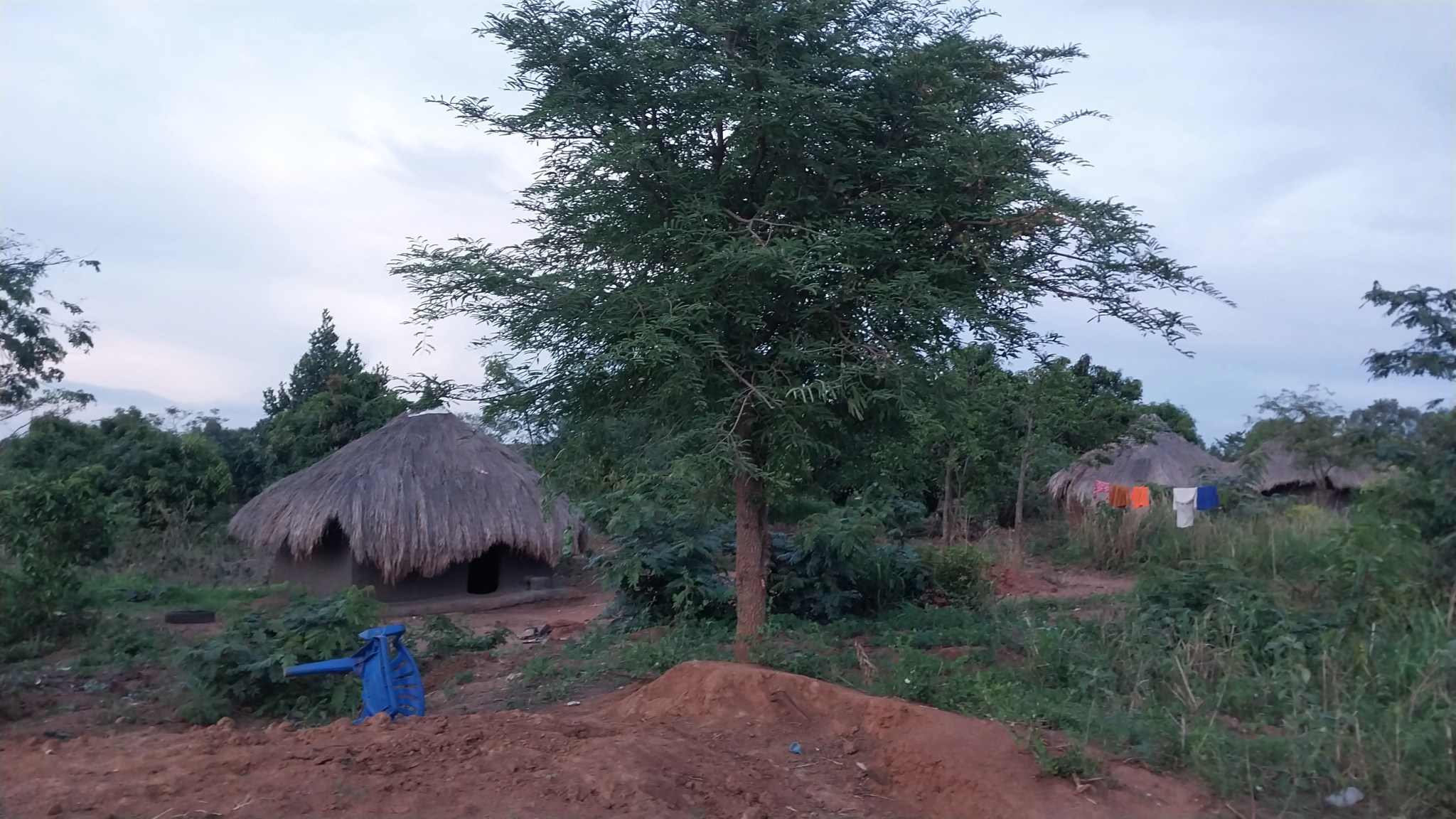 Biiso Home in Bunyoro Oil Land – KITARA FOUNDATION FOR SUSTAINABLE ...