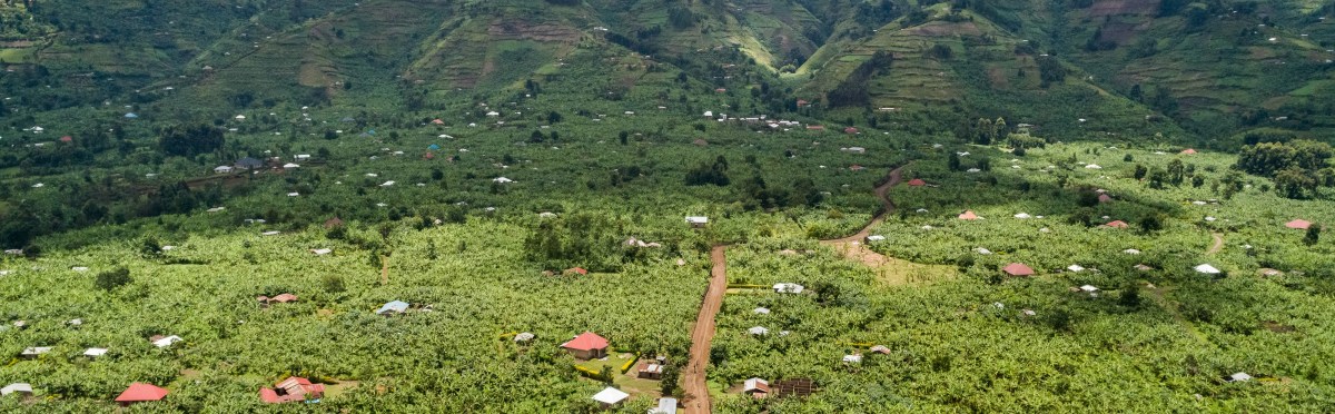 The Best Volunteer Programs in Africa – Kitara Foundation for Regional ...