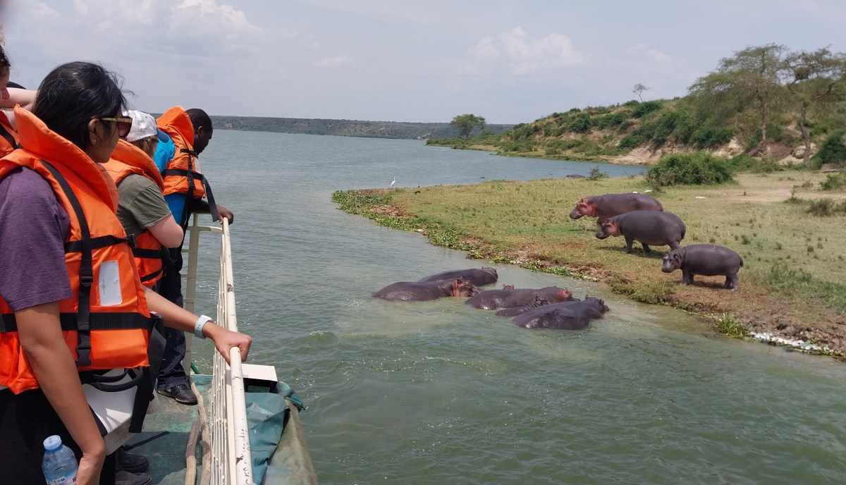 Who Kitara Foundation is? – Kitara Foundation for Regional Tourism