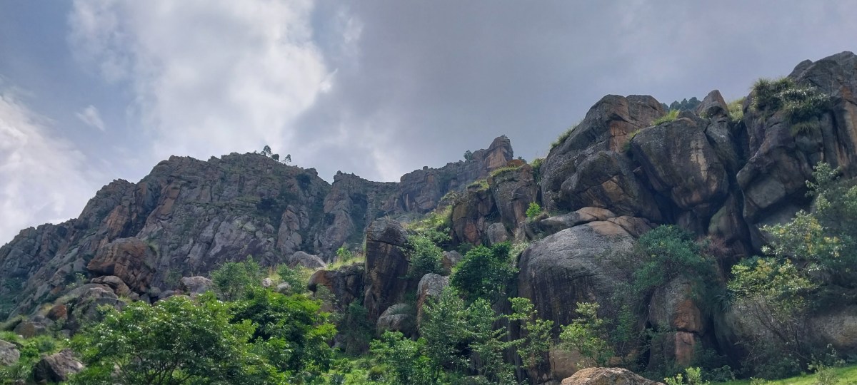 Environmental Conservation – Kitara Foundation for Regional Tourism ...