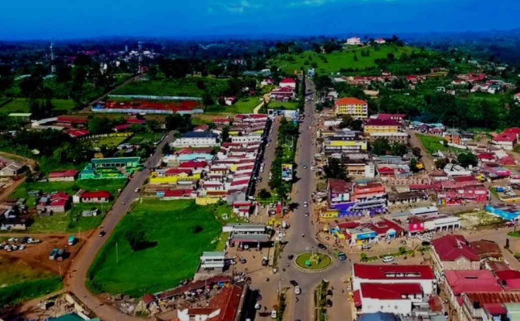 Kitara Annual Campaigns & Events – KITARA FOUNDATION FOR SUSTAINABLE ...
