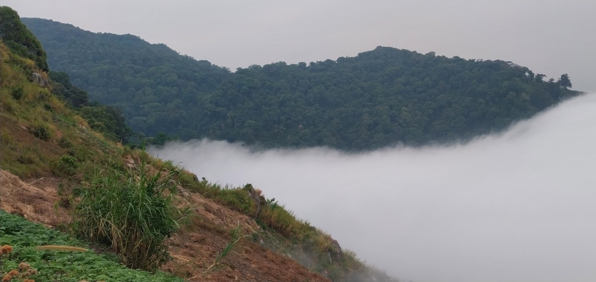 Fascinating Bwamba Pass Trail of Karangura Community in the Rwenzori ...
