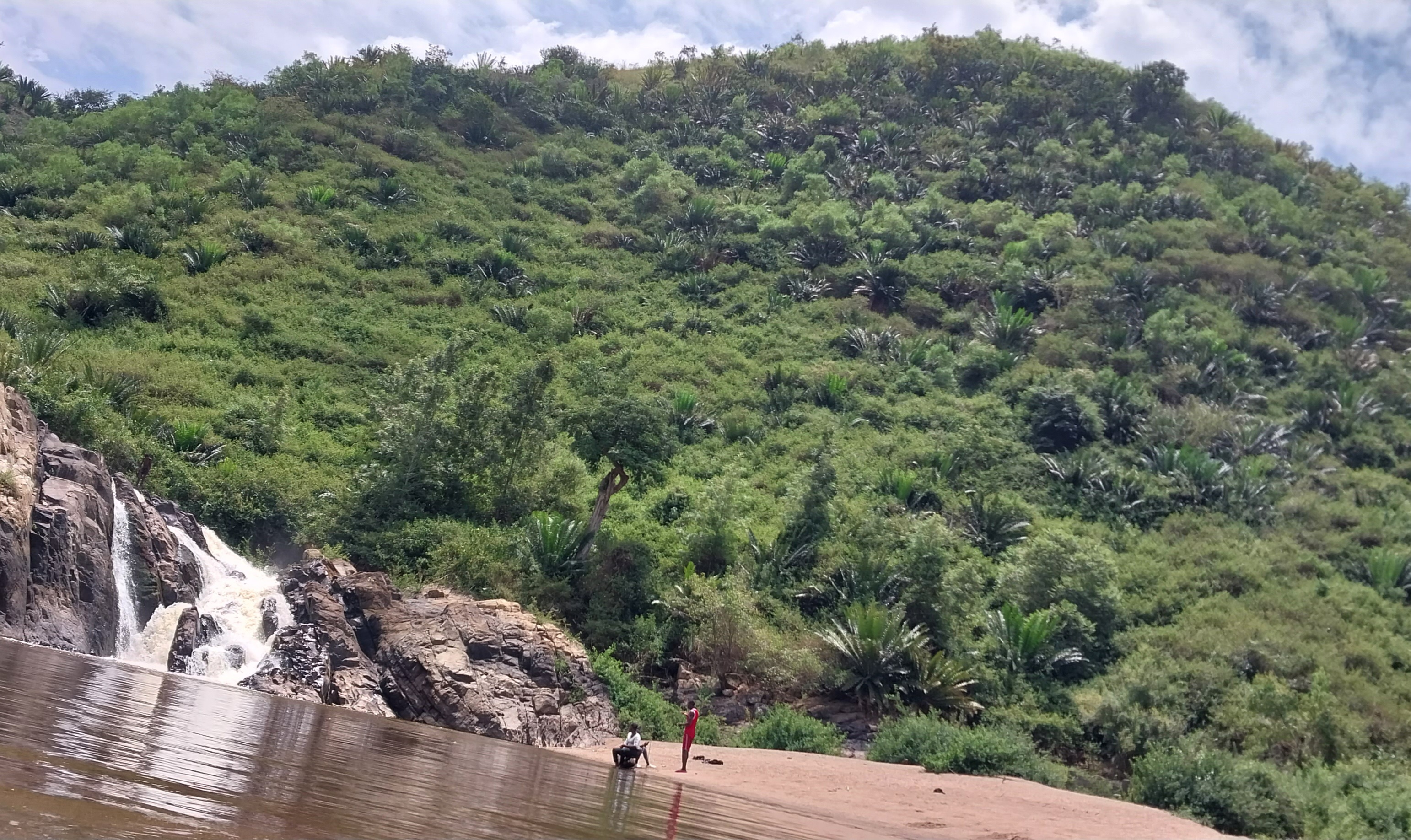 Captivating Adventures to the Africa’s Cycad Villages of Kitagwenda ...