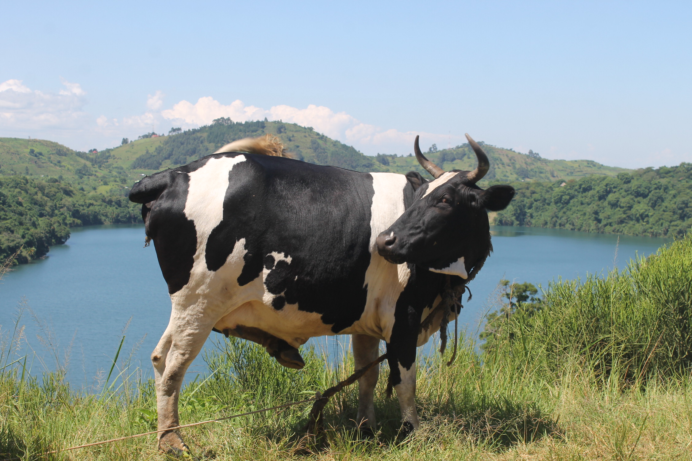 Discover the Hidden Gems of Lake Nyinambuga and Mahoma Waterfalls ...