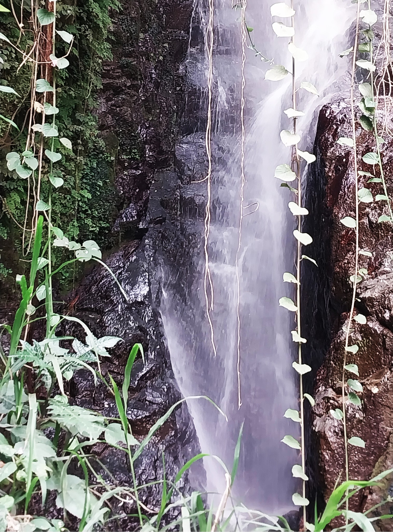 A Birthday to Remember: Conquering Mitooma Waterfalls in the Rwenzori ...