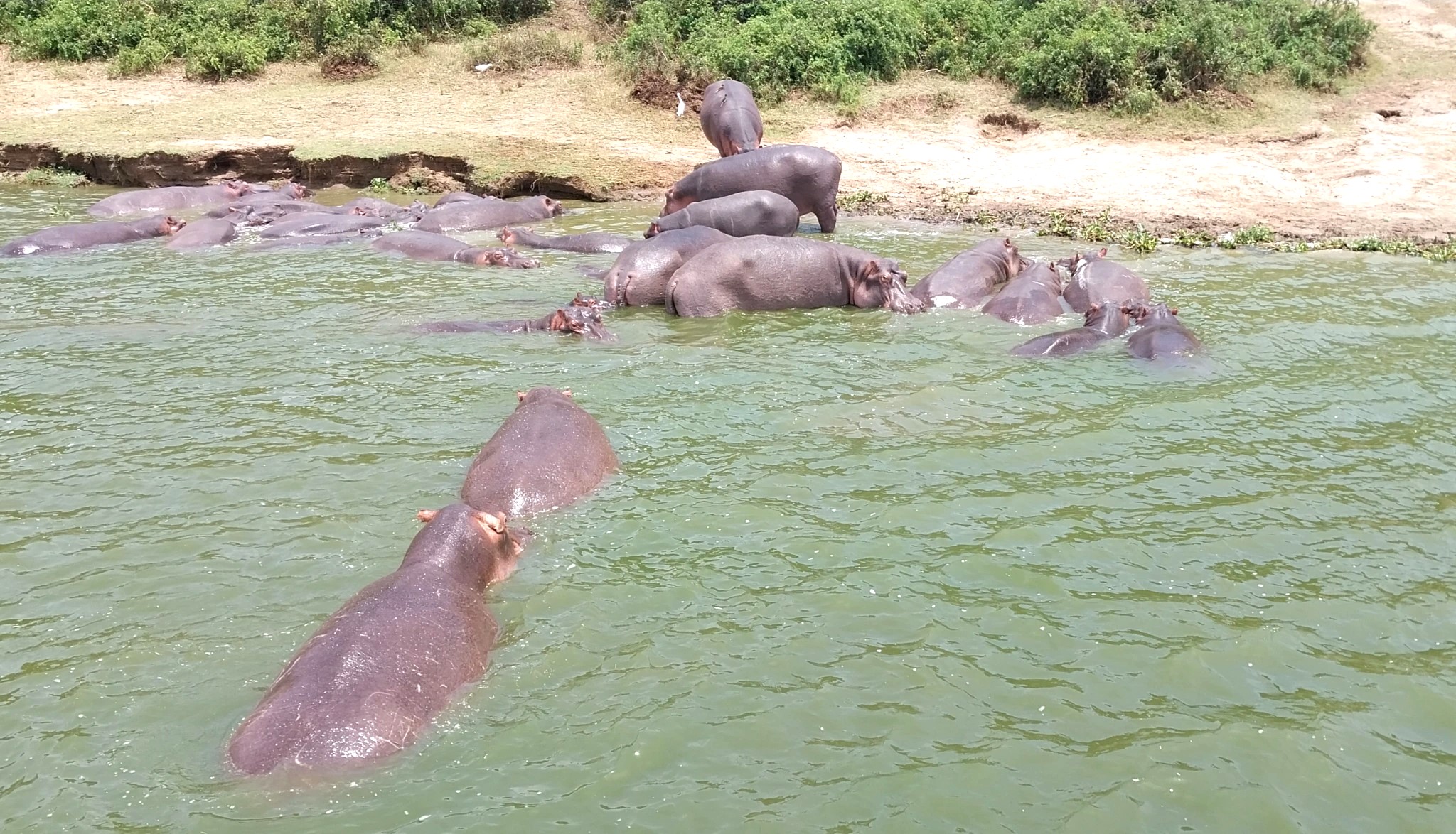 Kitagwenda & Bunyaruguru – KITARA FOUNDATION FOR SUSTAINABLE TOURISM ...
